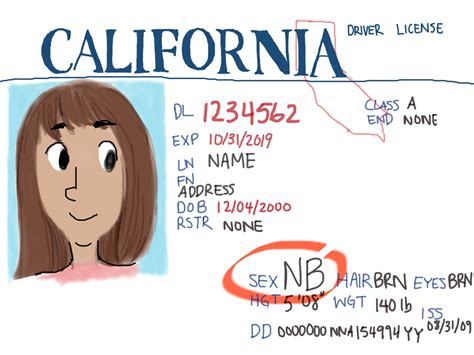 State Bill To Offer Nonbinary Gender Option For Identification