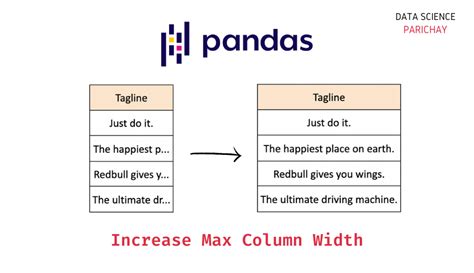 pandas set increase or decrease column width data science parichay