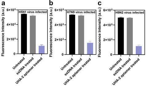 A Universal Aptamer For Influenza A Viruses Selection Recognition