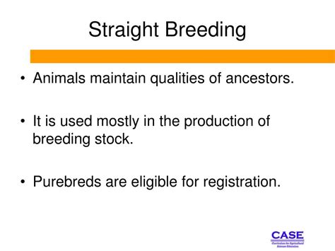 Ppt Livestock Breeding Systems Powerpoint Presentation Free Download