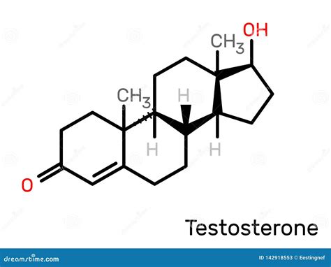 Testosterone Hormone Structural Formula Vector Illustration Stock