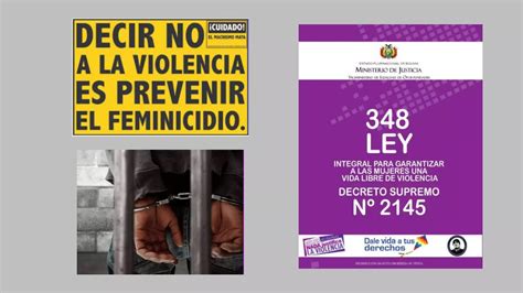 Causas Y Prevención Del Feminicidio En Bolivia Pptx