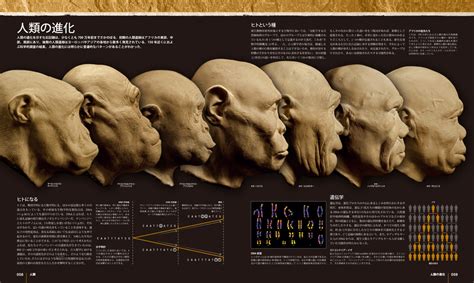 人類の進化 大図鑑｜河出書房新社