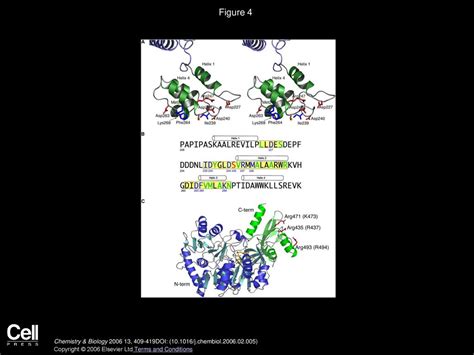 Structure Of The Entb Multidomain Nonribosomal Peptide Synthetase And