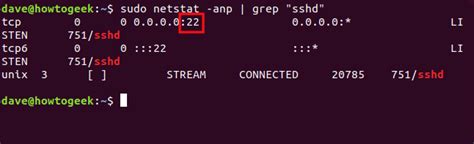how to use netstat on linux