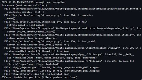 oserror unable to open file from githib ☁️ streamlit community