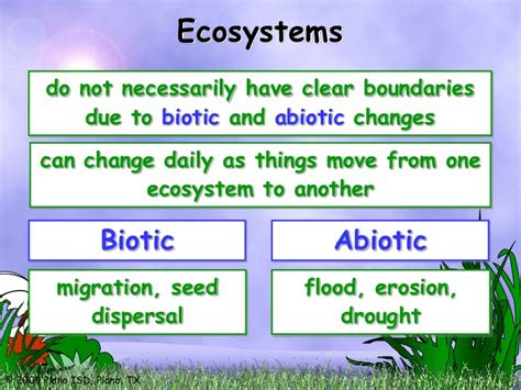 Biotic And Abiotic Factors