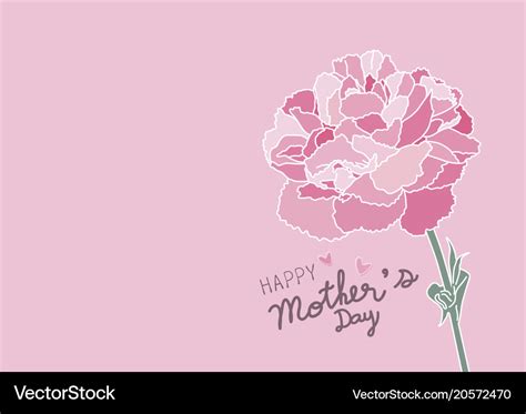 Mothers Day Design And Pink Carnation Flower Vector Image