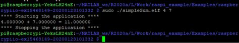 send inputs to matlab function from command line of raspberry pi