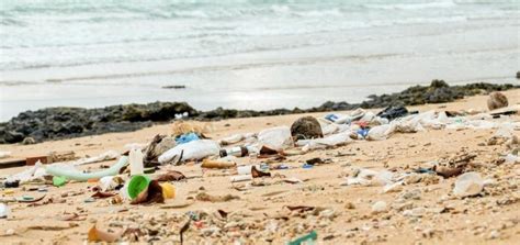 El Plástico Es El Contaminante Más Abundante En Las Playas Bonaerenses