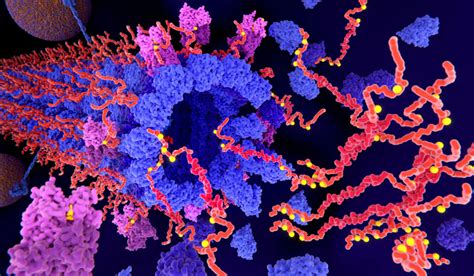 understanding sex disparity in alzheimer s vanderbilt discover