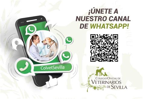 Nuevo Canal De Whatsapp Del Colegio De Veterinarios De Sevilla