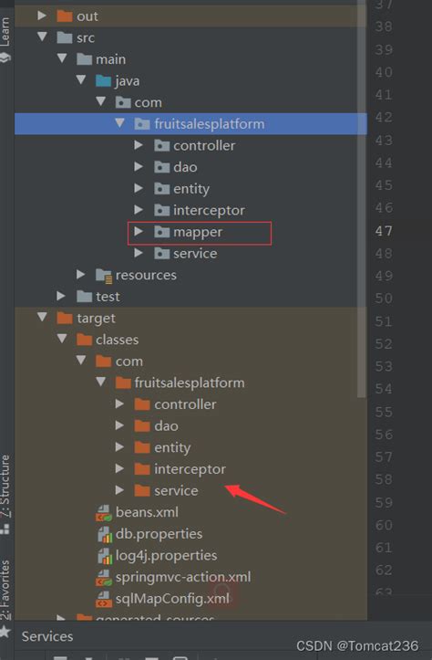 caused by java lang illegalargumentexception could not resolve
