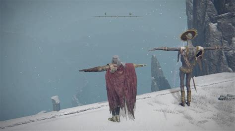 Asserting Dominance On The Whole World Eldenring