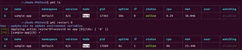 run node js app as a daemon process linux heelpbook