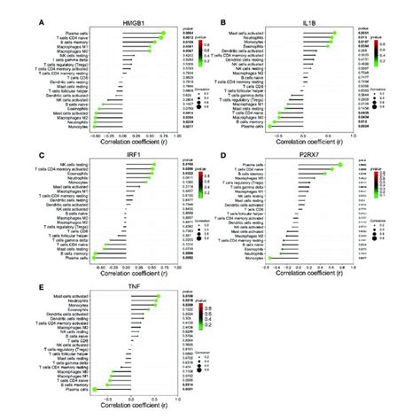 The Correlation Between The Hub Gene And The Immune Cell A Hmgb1