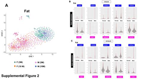 Single Cell Transcriptional Profiling Reveals Sex And Age Diversity Of