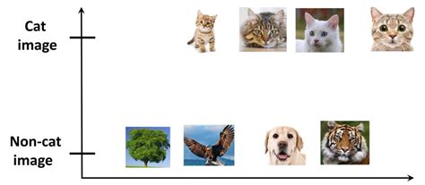 how to implement logistic regression with pytorch by dorian lazar riset