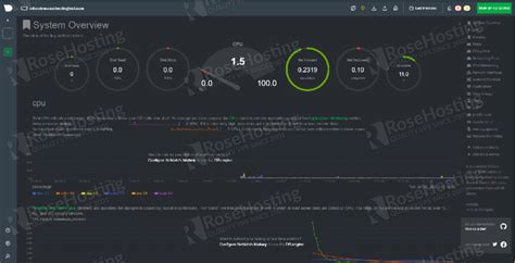 how to install netdata monitoring tool on ubuntu 20 04 rosehosting