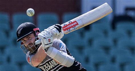 Icc Mens World Cup 2023 New Zealand Captain Kane Williamson Set To