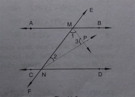 if two parallel lines are intersected by a transversal prove that the