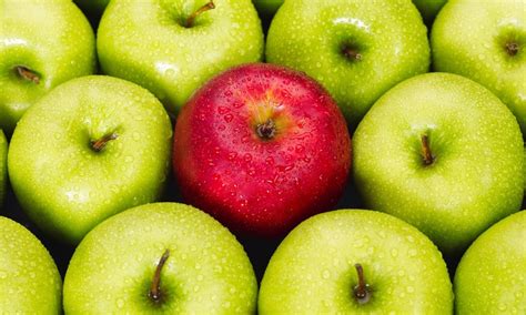 lung repairing nutrients
