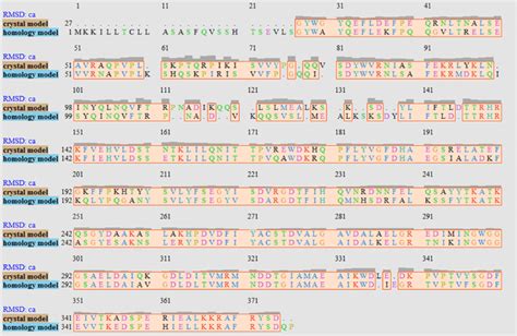 sequence alignment after superimposition of crystal and homology model