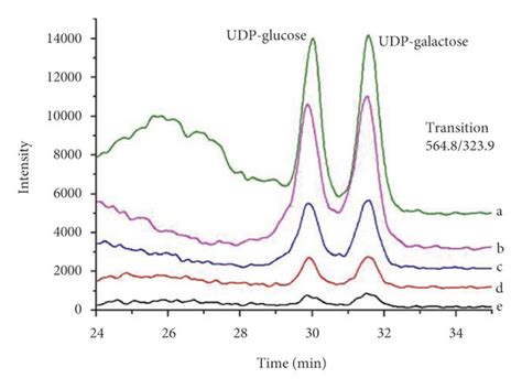 Liquid Chromatography Tandem Mass Spectrometry Chromatogram Of