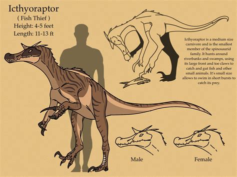 Dwarf Dromaeosaur