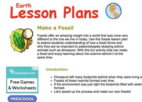 fossil lesson plan fossils lesson fossils lesson