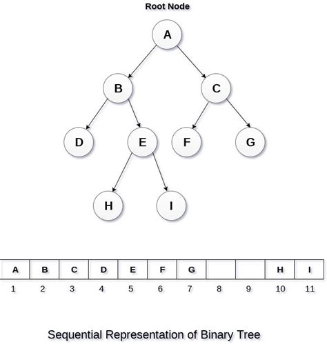 binary tree javatpoint binary tree counting sort selection sort