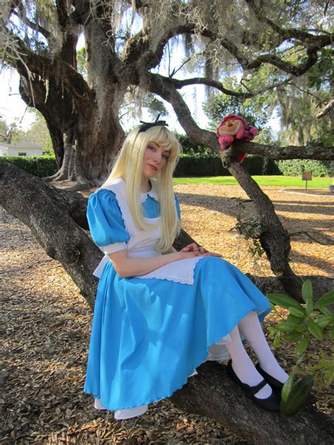 Alice In Wonderland Adult Dress Up