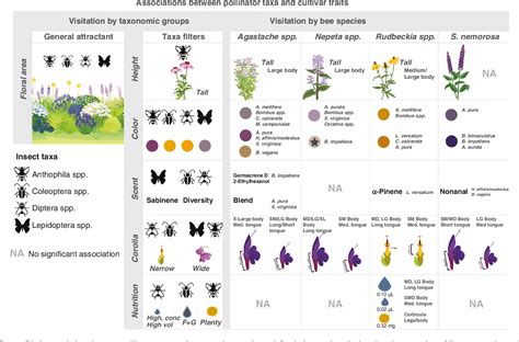 Figure 5 From Complex Floral Traits Shape Pollinator Attraction To