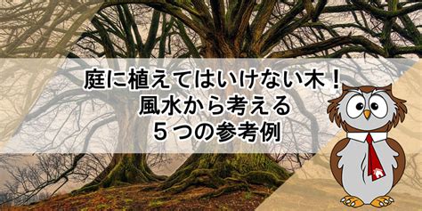 庭に植えてはいけない木！風水から考える5つの参考例