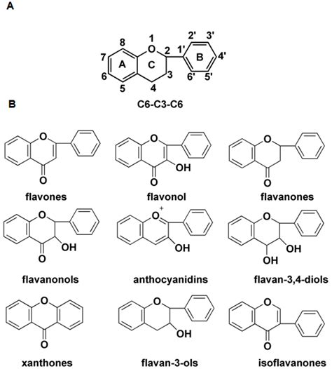 The Structure Of The Flavonoids A Flavan C6 C3 C6 Skeleton Of