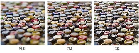 what is deep depth of field definition and examples