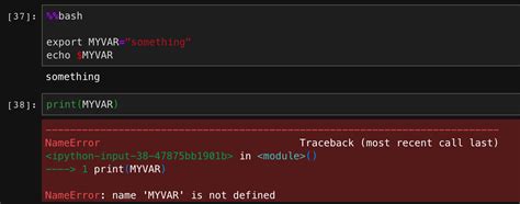 python access variable declared in a bash cell from another jupyter
