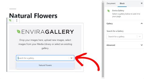 how to create an image gallery in wordpress step by step