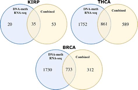 The Venn Diagrams Representing The Number Of Genes And Their