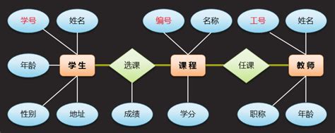 实体 关系模型 菜鸟 博客园