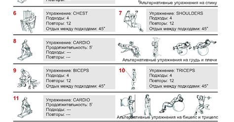 Как составлять программу тренировок в тренажерном зале правила и