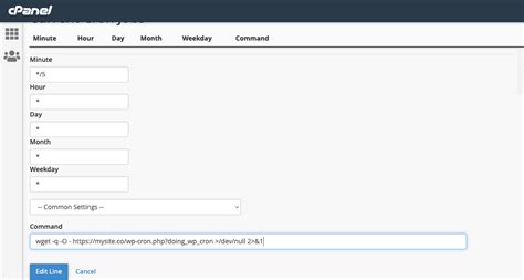 set up wordpress wp cron to run in cpanel runcloud and cloudways