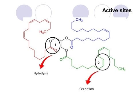 Oxidative Rancidity In Oils And Fats Causes And Prevention