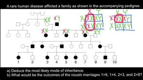 How To Find The Mode Of Inheritance Of Genetic Disease Youtube