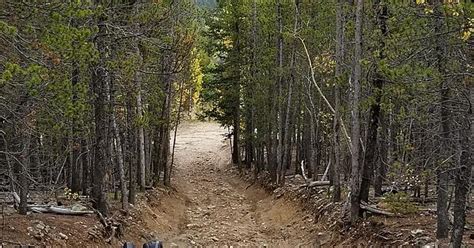 Natural Habitat Album On Imgur