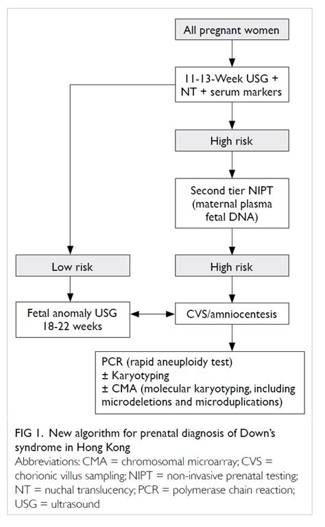 Second Tier Non Invasive Prenatal Testing In A Regional Prenatal
