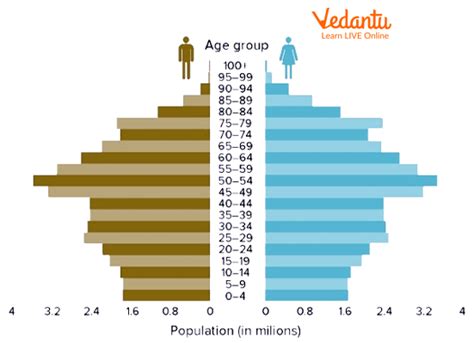 Population Pyramid Structure Types And Uses