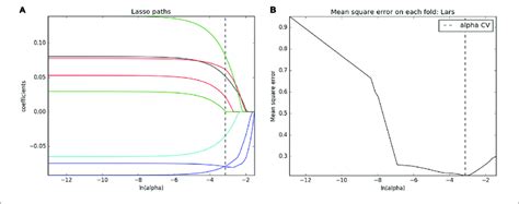 texture feature selection a lasso coefficient