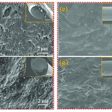 Cross Section And Longitudinal Morphologies Of Cnt Pla Samples With