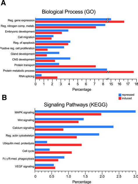 Functional Annotation Analysis Of Differentially Expressed Genes In
